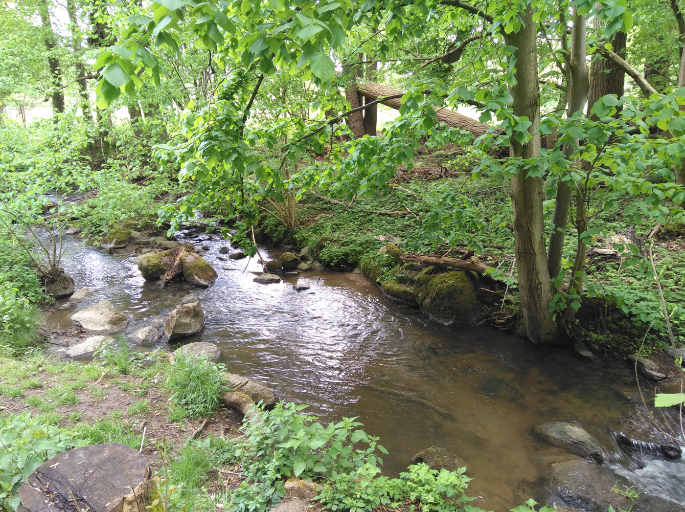 Auf dem Mundart Wanderweg entlang der Modau - Radtouren, Wandern ...