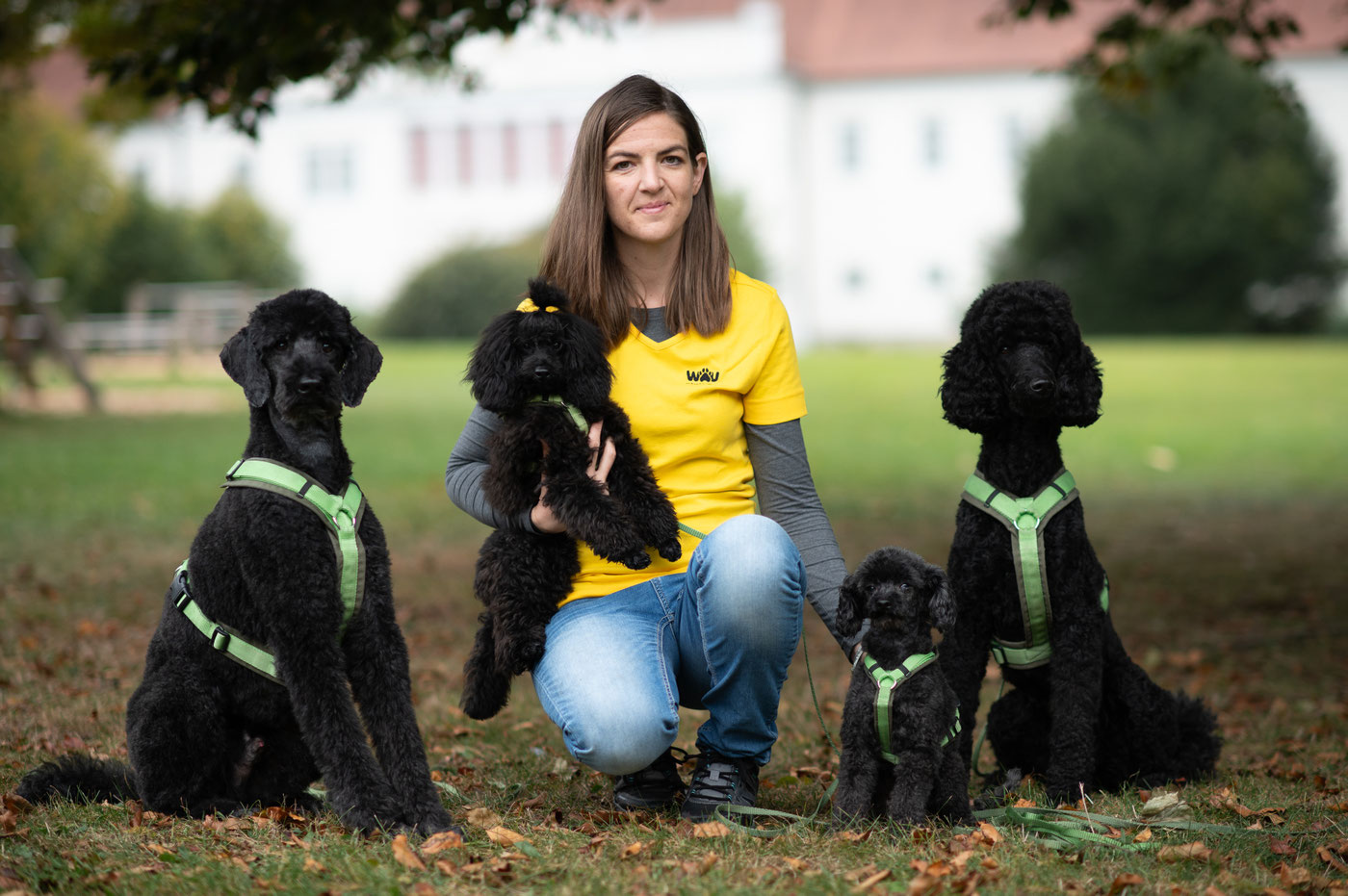 Das Team - tiere-begleitens Webseite!