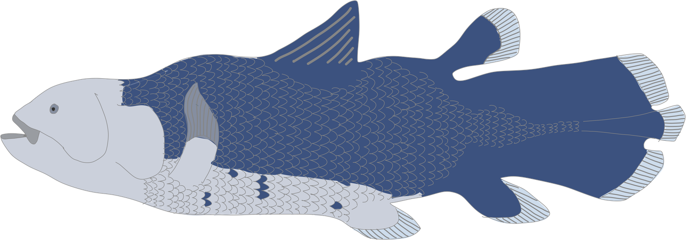 6. Evolution - Biologie-Unterricht im digitalen Zeitalter