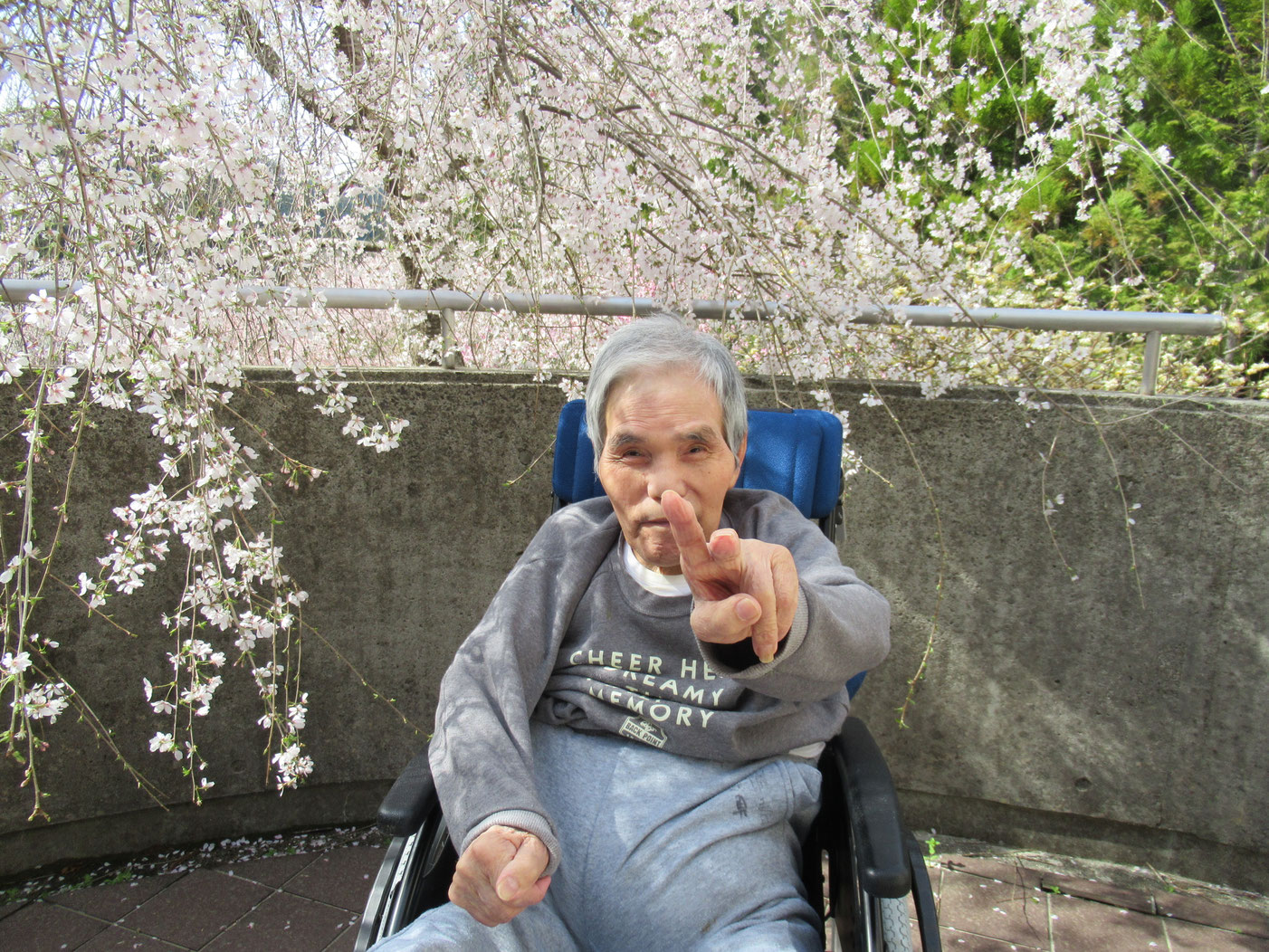 お花見 - 新城市の特別養護老人ホーム『くるみ荘』公式ホームページ
