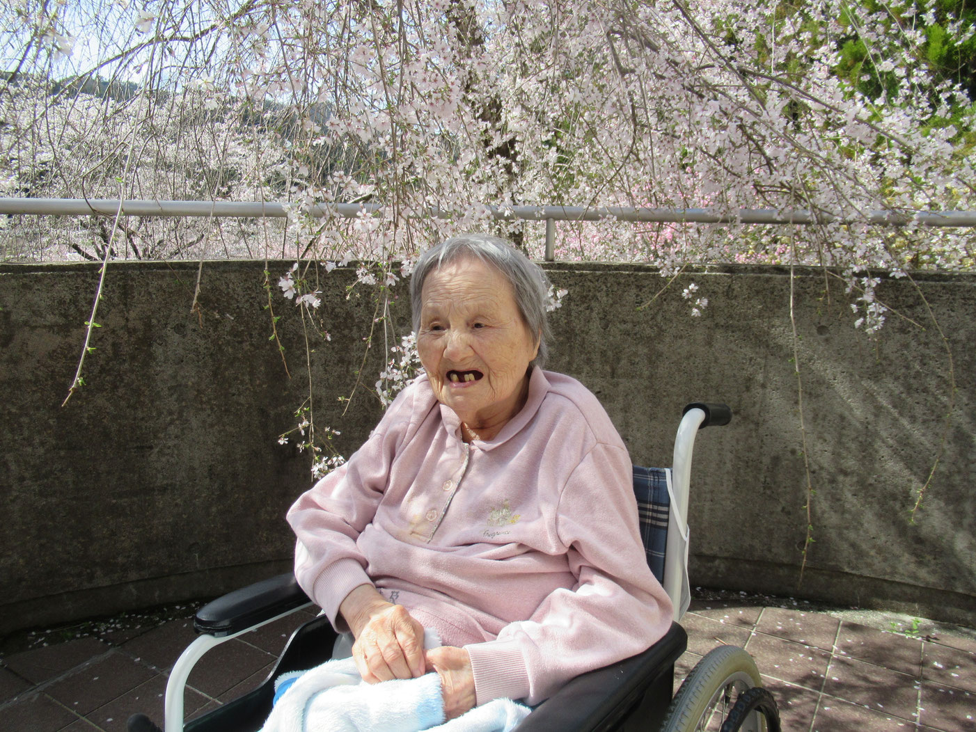 お花見 - 新城市の特別養護老人ホーム『くるみ荘』公式ホームページ