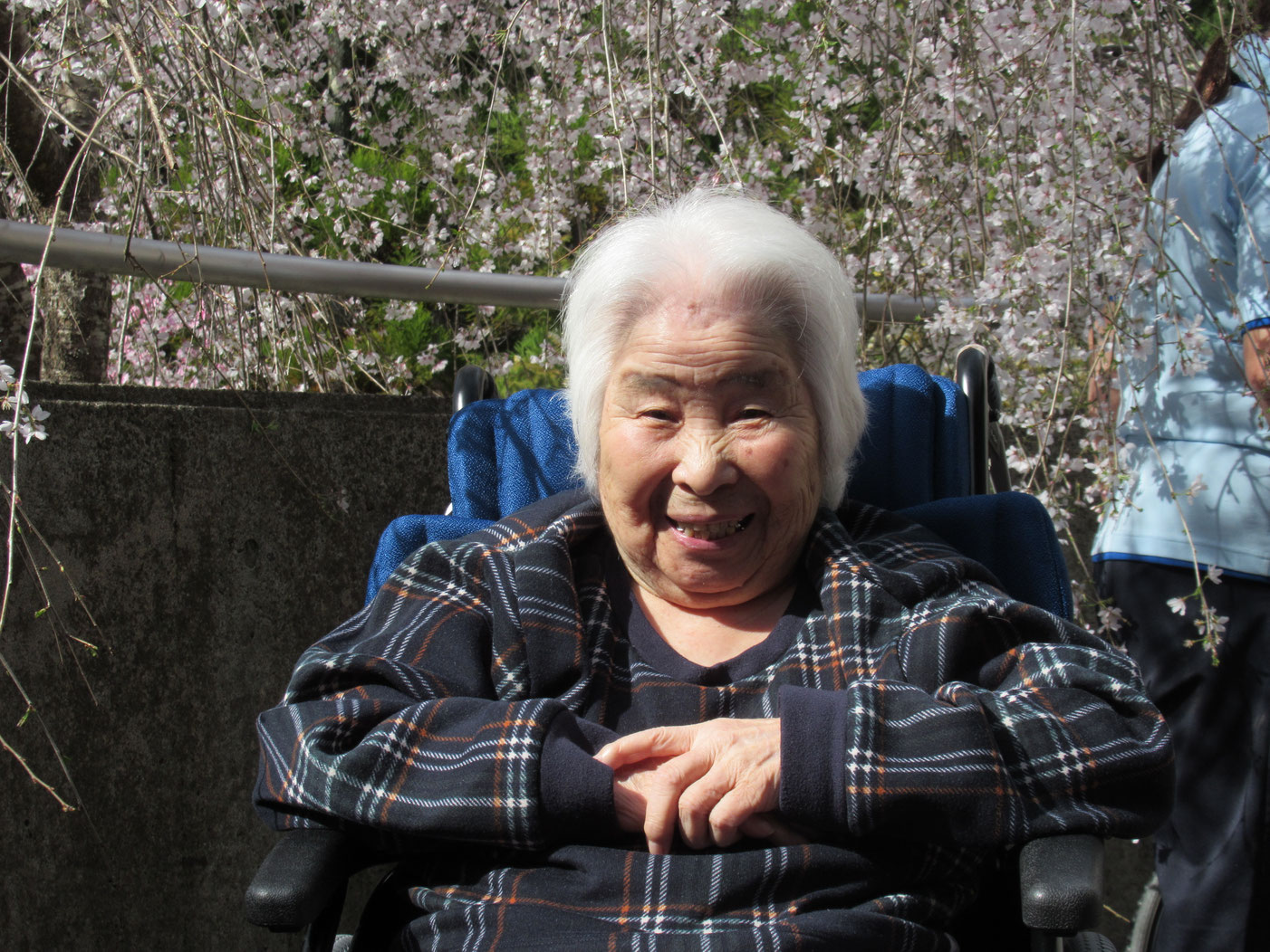 お花見 - 新城市の特別養護老人ホーム『くるみ荘』公式ホームページ