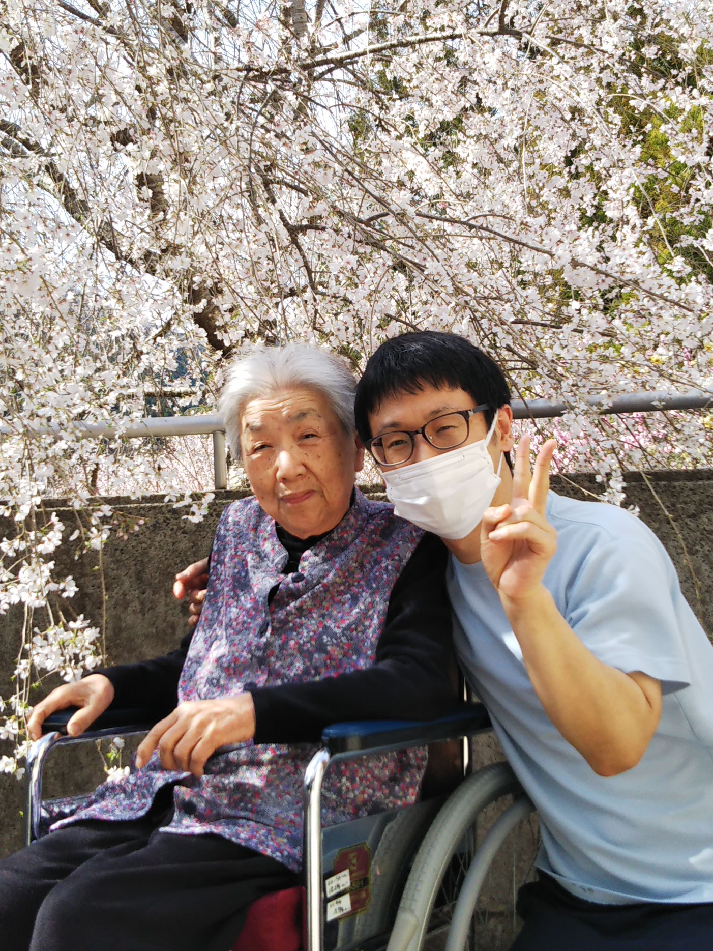お花見 - 新城市の特別養護老人ホーム『くるみ荘』公式ホームページ