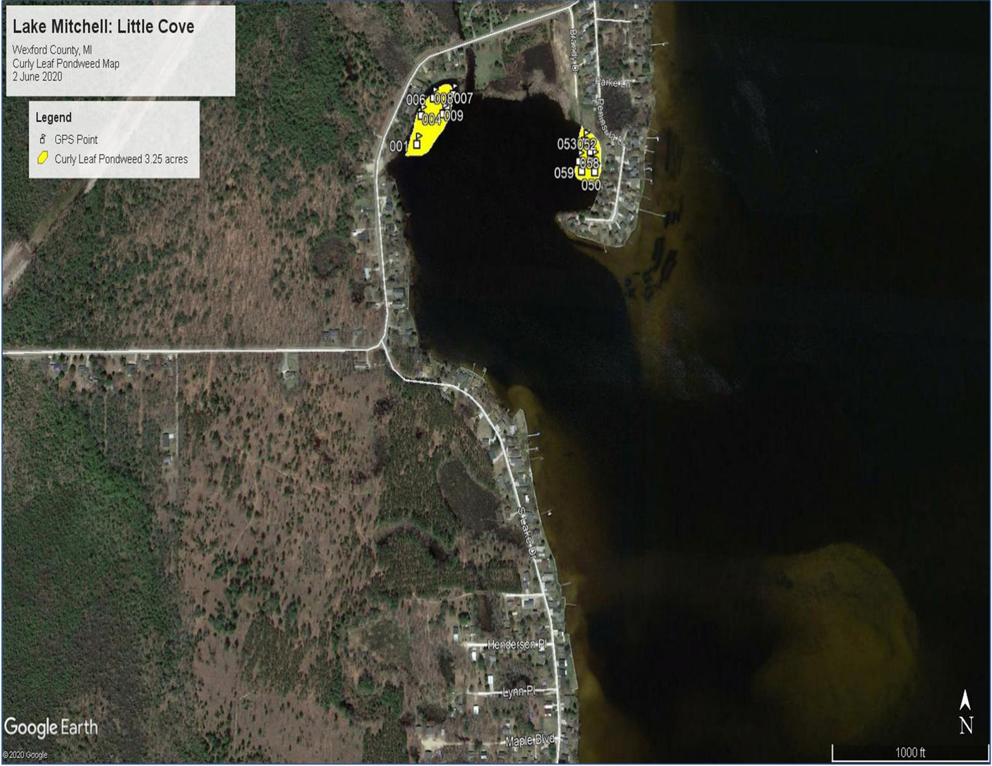 Treatment Area Maps - Lake Mitchell - Cadillac, Michigan