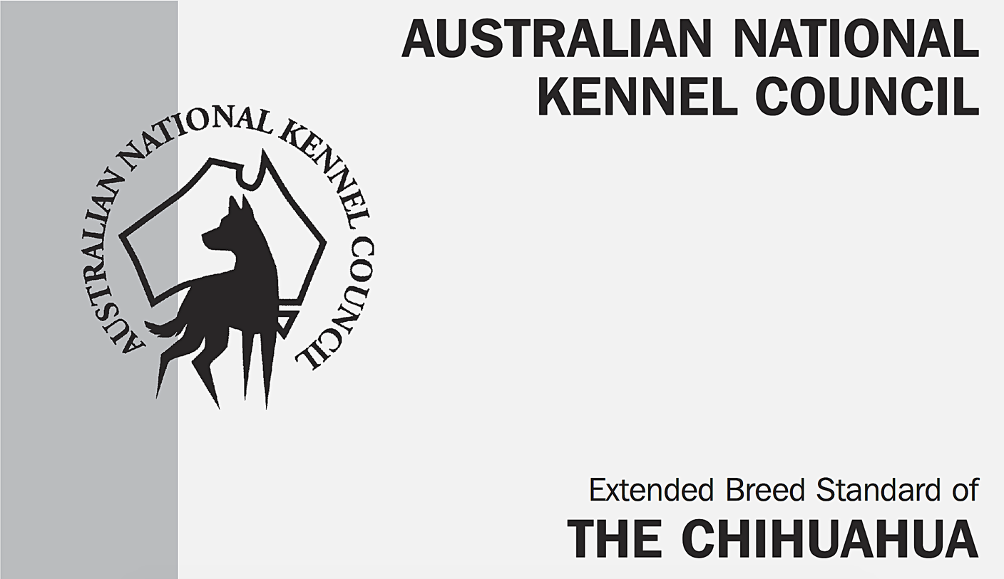 The Australian National Kennel Council - chihuahuaworld