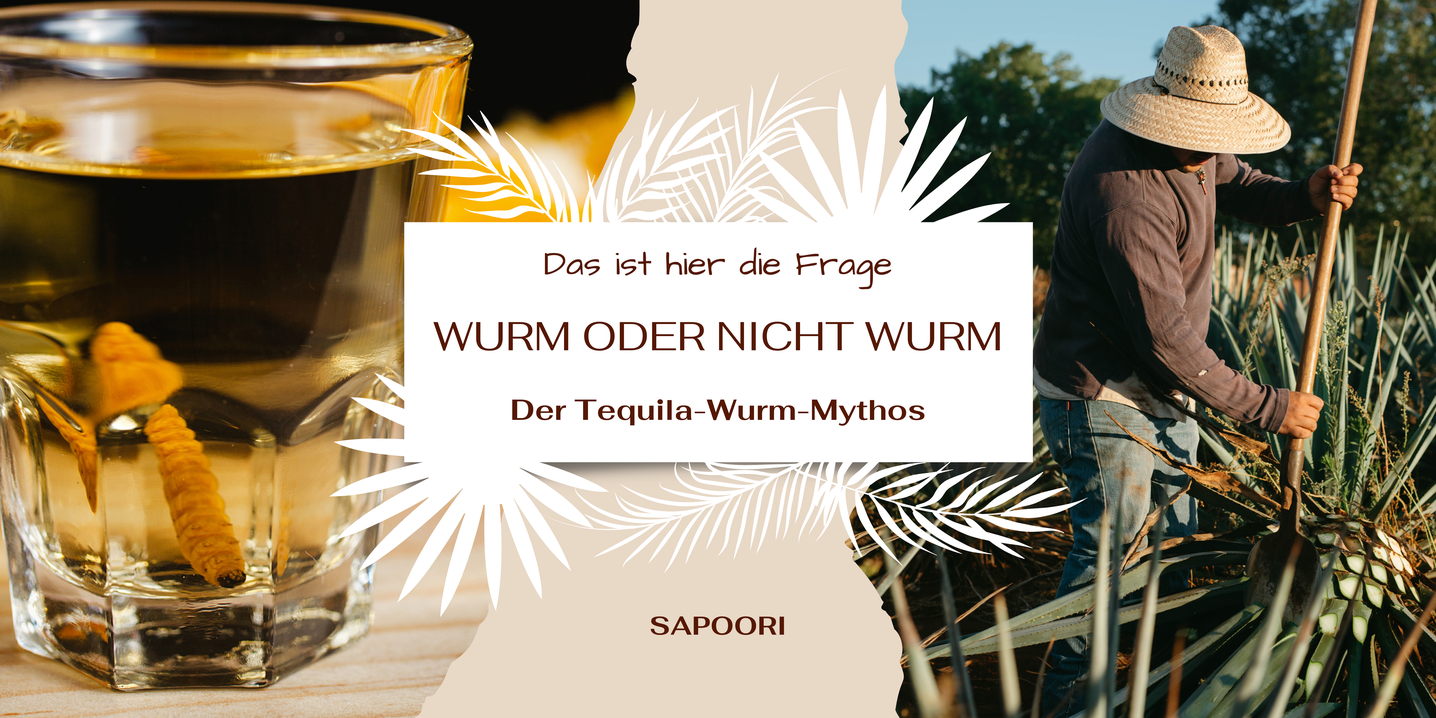 Der Tequila-Wurm-Mythos: Was steckt wirklich dahinter? - Cocktailkurse ...