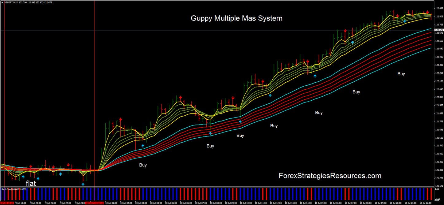 Guppy Multiple Mas System - Forex Strategies - Forex Resources - Forex Trading-free forex ...
