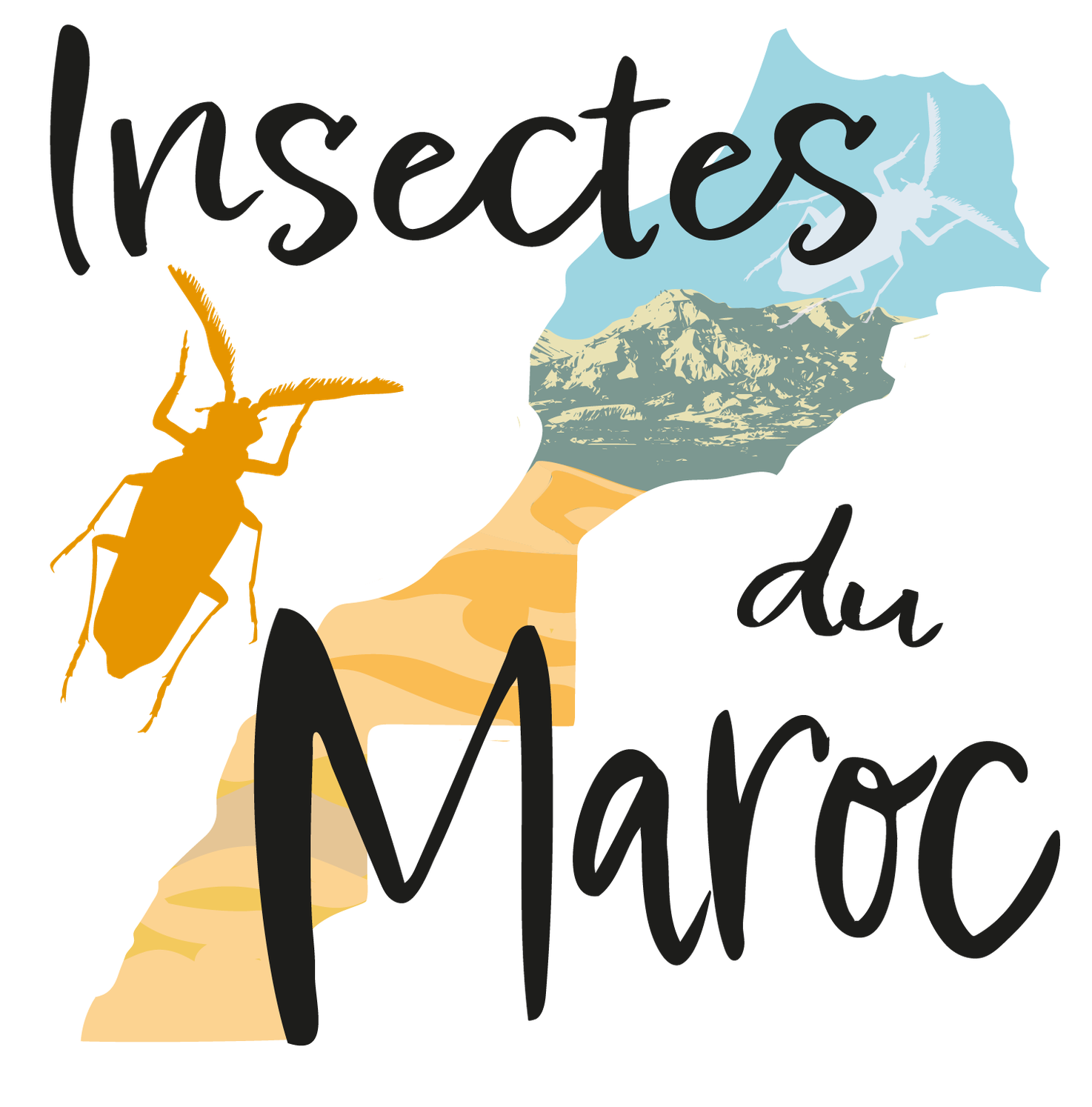 Actualités - Site de insectedumaroc