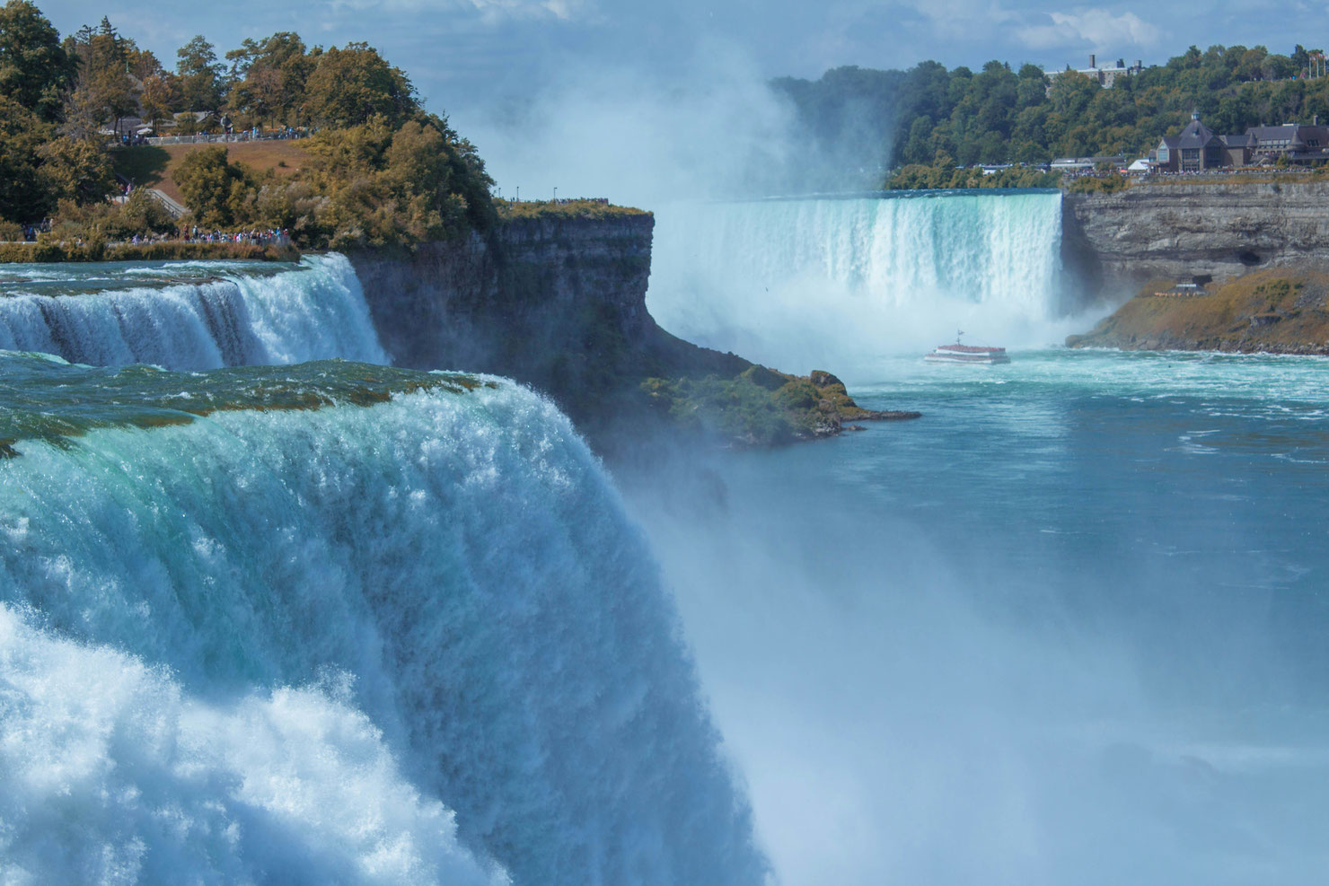 Les chutes du Niagara : Un havre de vie pour la faune locale ...