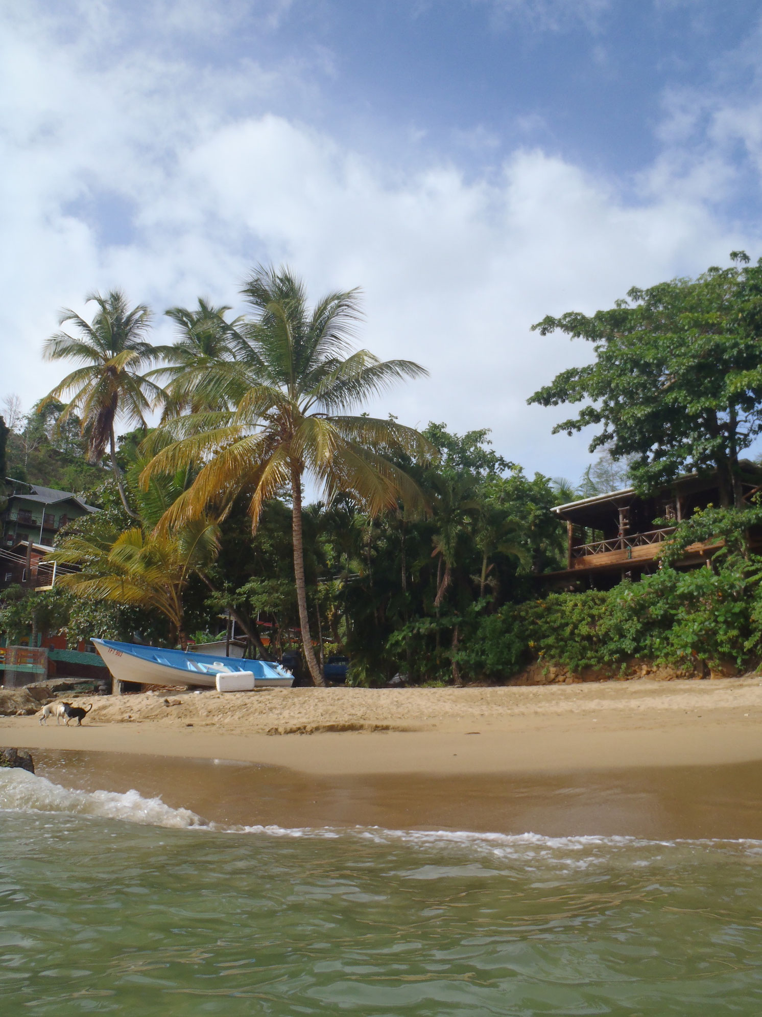 Castara, Tobago- "Just a Small Part of Paradise" - Feathery Travels