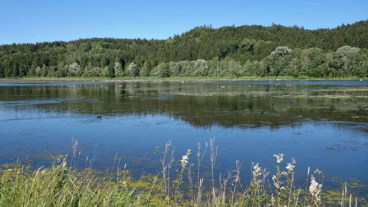 Radtour Kaufbeuren - Bad Wörishofen: Wertach Radweg - Tipps