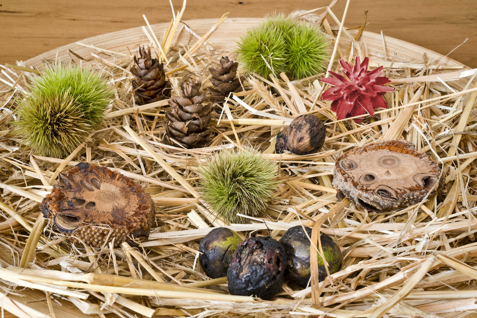 2021 - Carla M. Huber