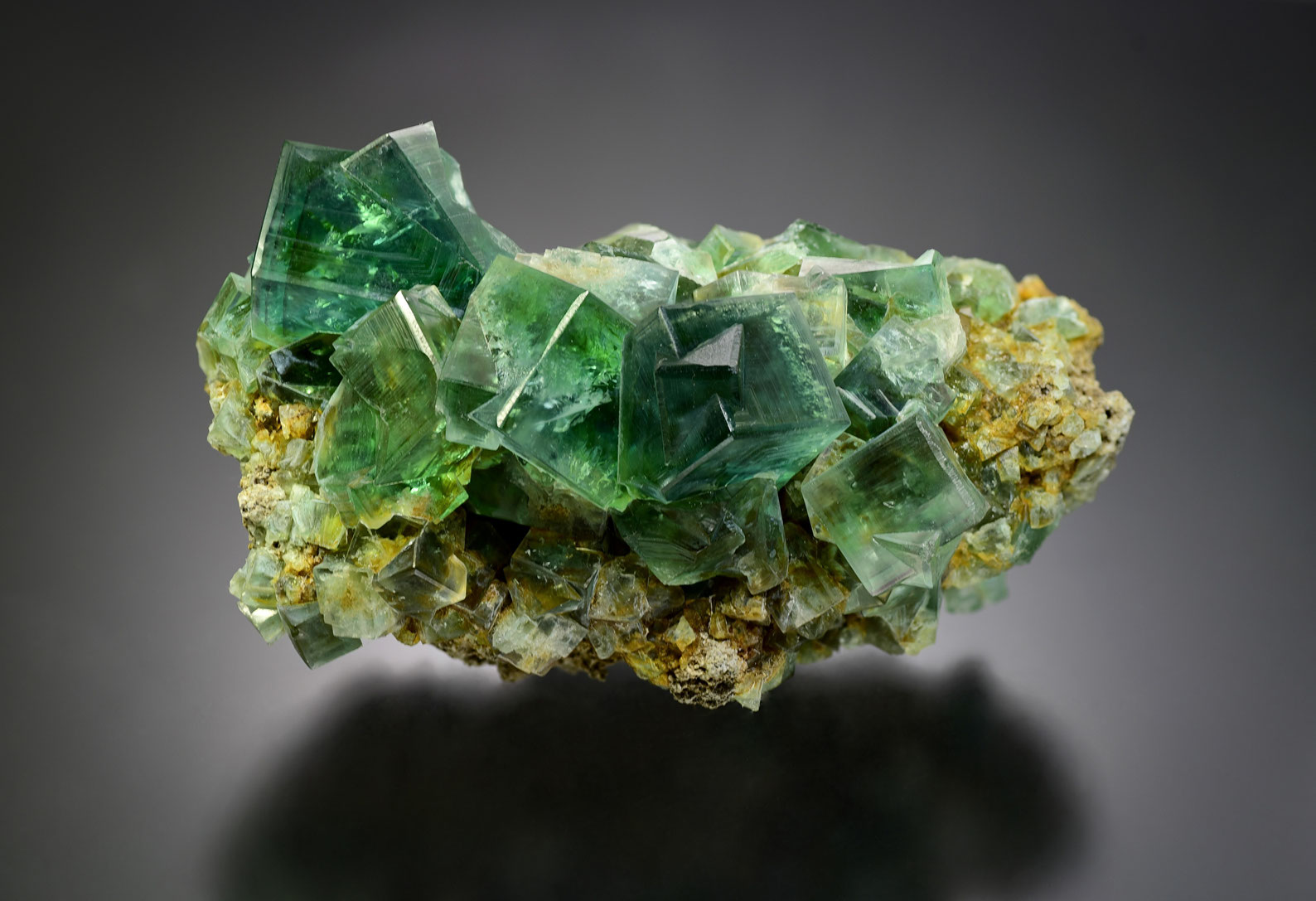 Rogerley mine - mos's Fluorite
