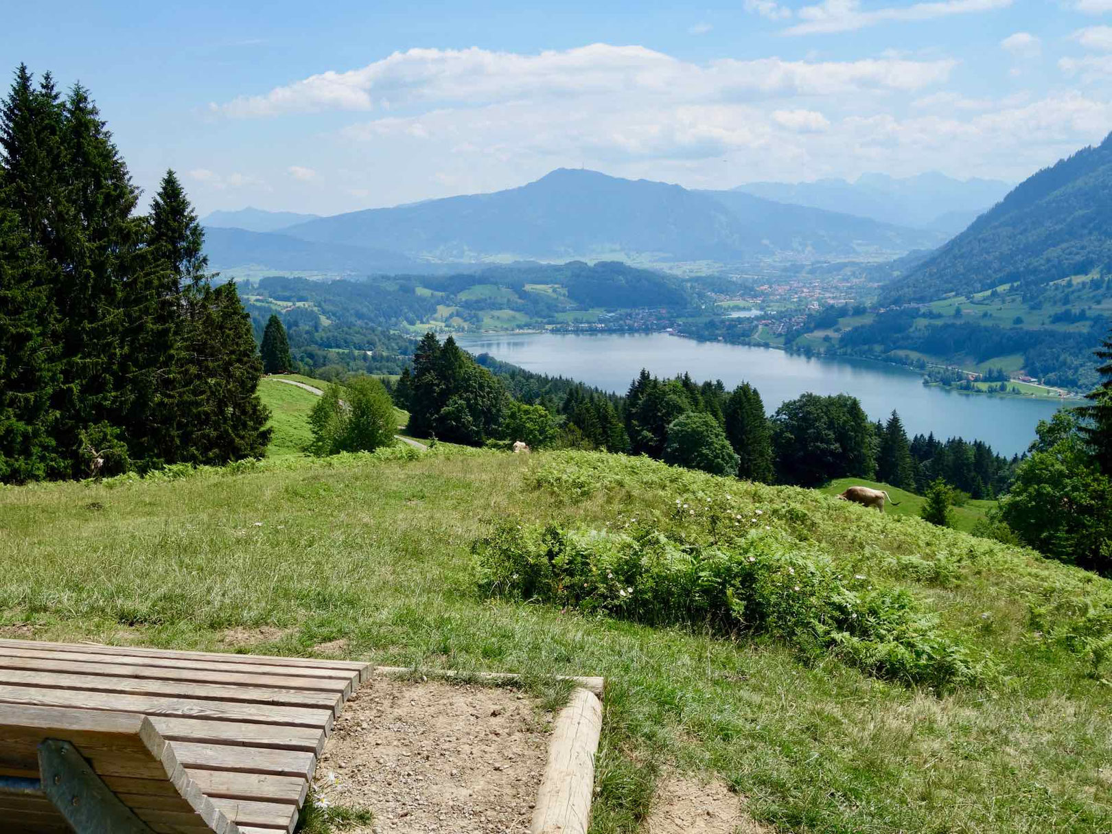 Großer Alpsee, Immenstadt | Wandern - Tipps