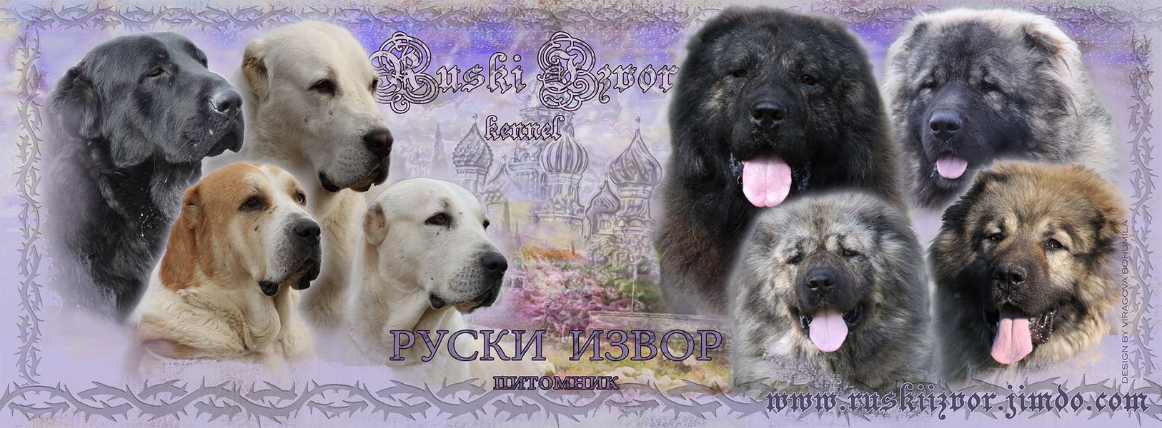 Kavkaski ovcari / Caucasian shepherd dog - Odgajivacnica Ruski Izvor ...