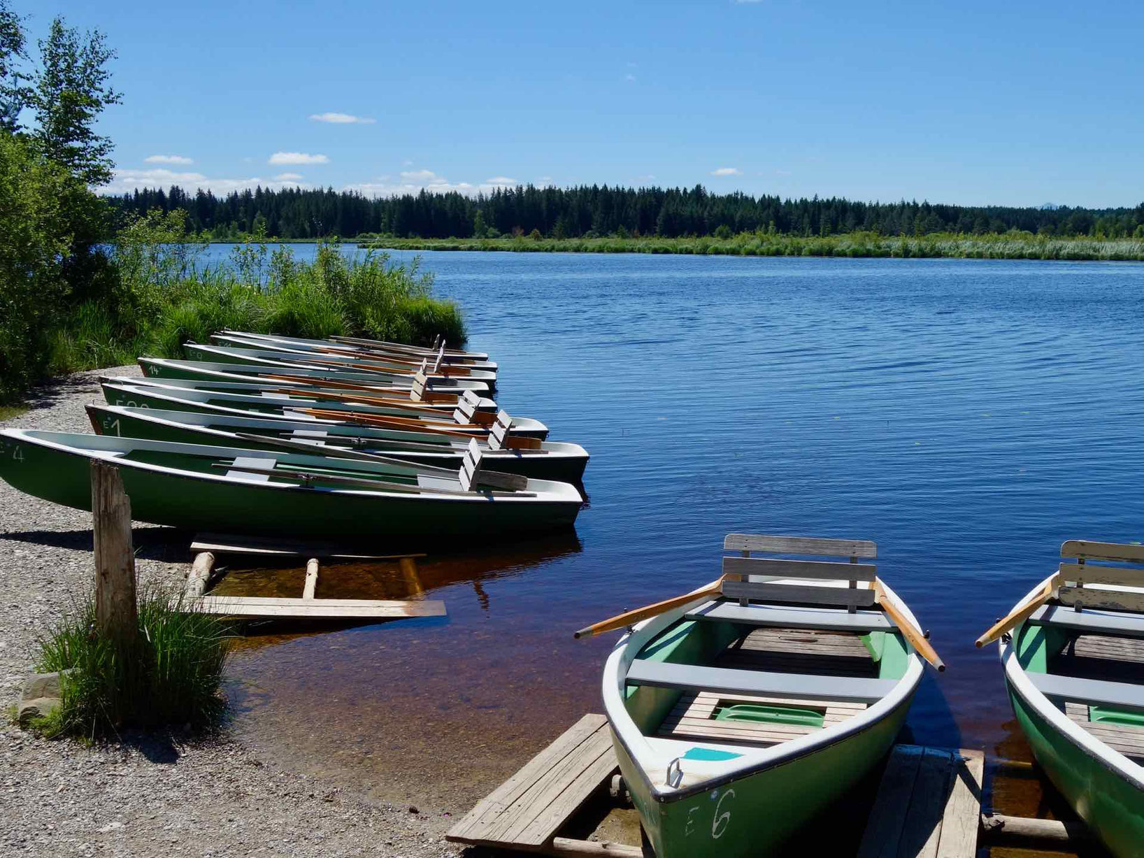 Der Elbsee - Tipps