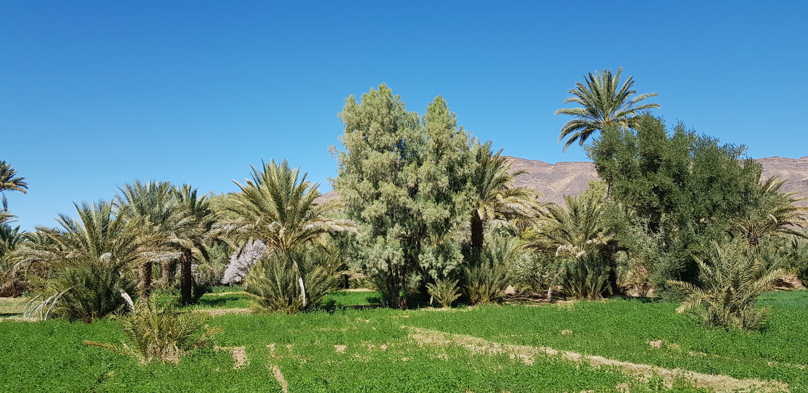 L'eau au Maroc, Vallée du Drâa - Voyage désert Maroc