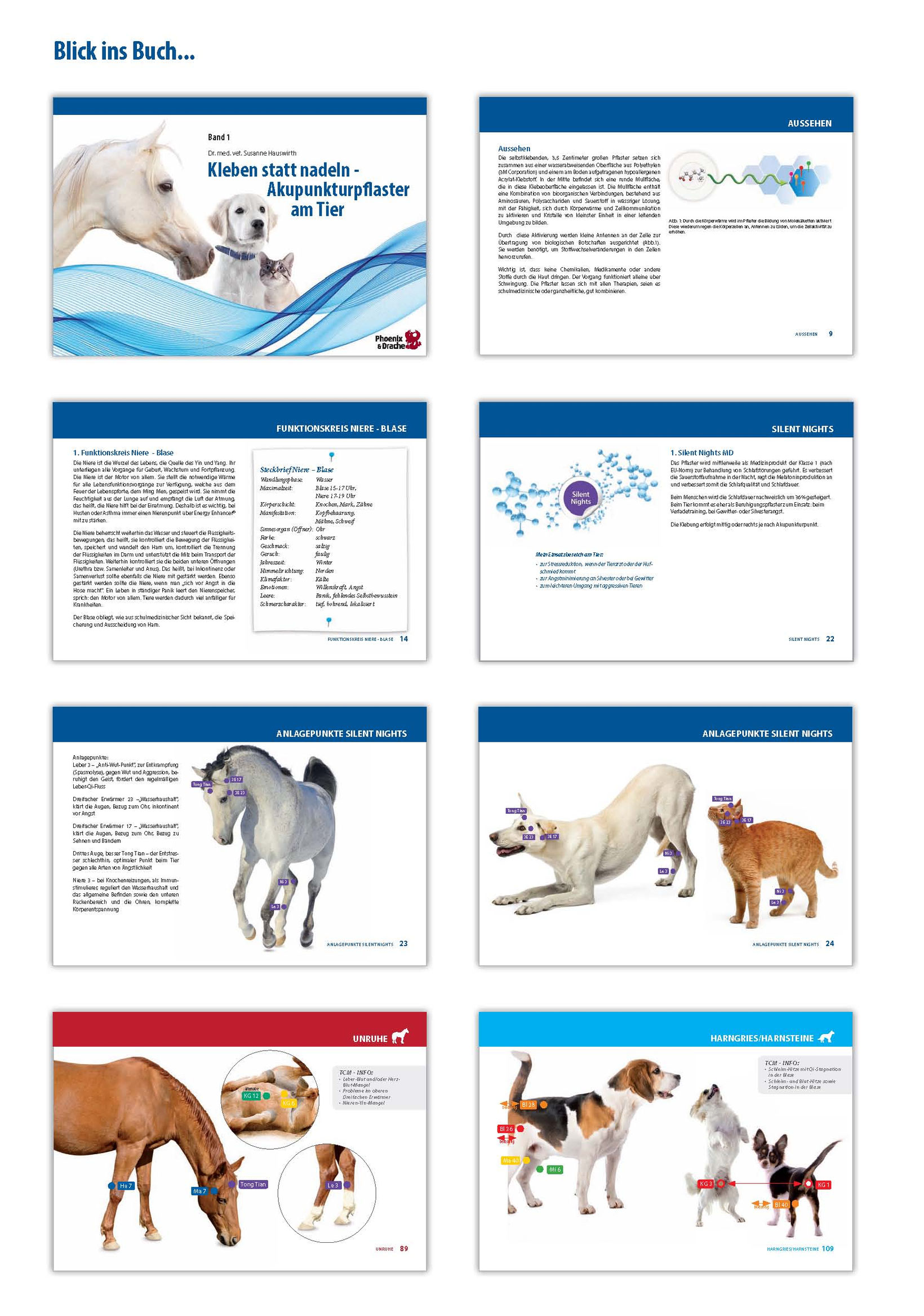 Hund, Katze, Pferd - biophotonen pflaster - lifewave