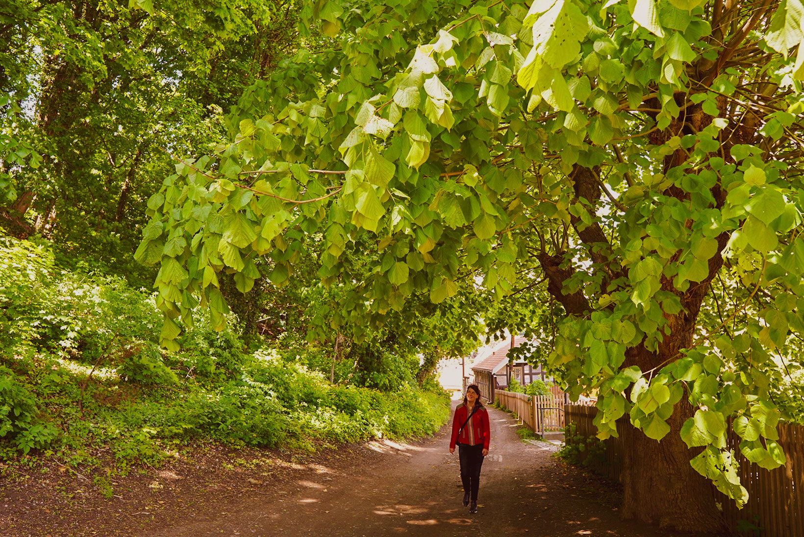 Blankenburg Harz - Wanderverliebt