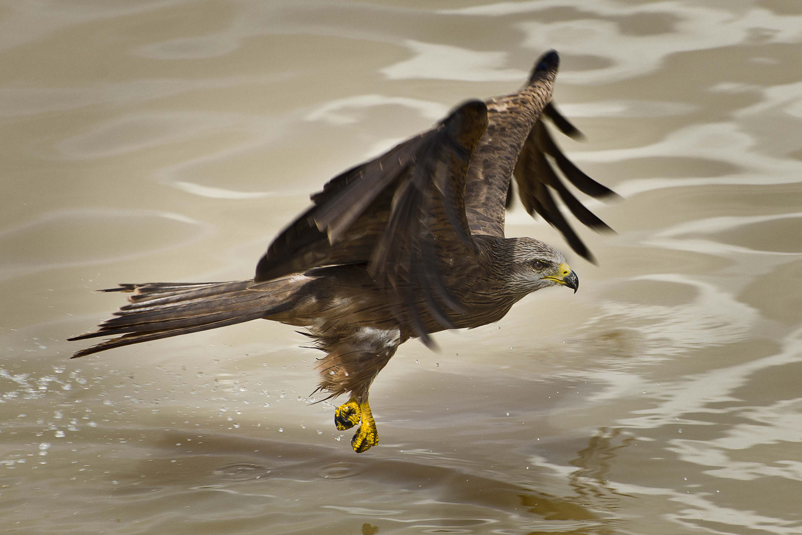 Mut machen - Carla M. Huber