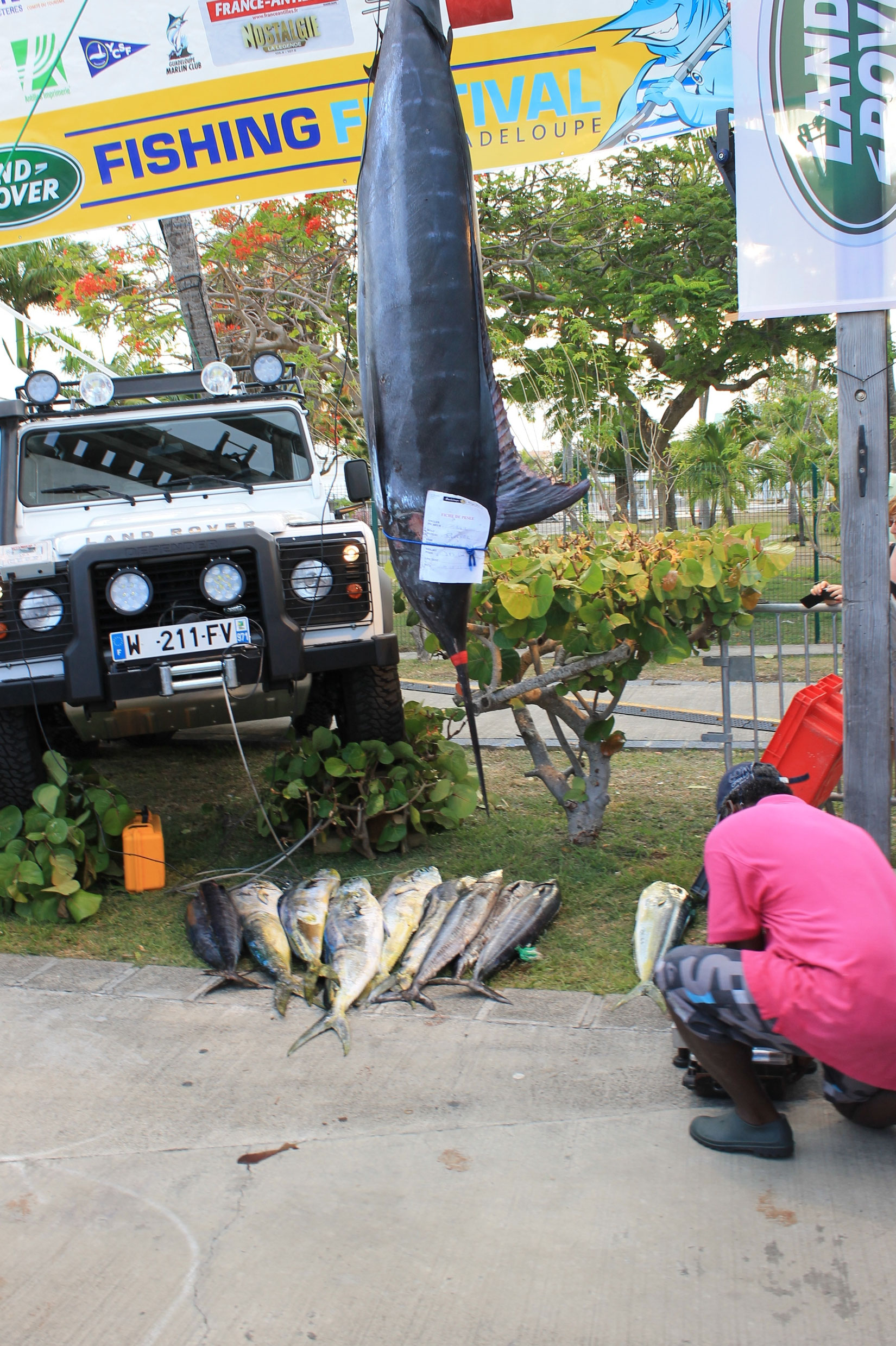 LAND ROVER FISHING FESTIVAL 2014 - Saint-François (GUADELOUPE) - [èé ...