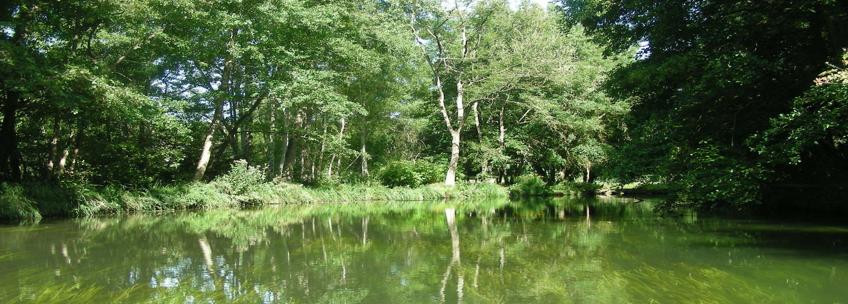 Accueil - Site de ccvj