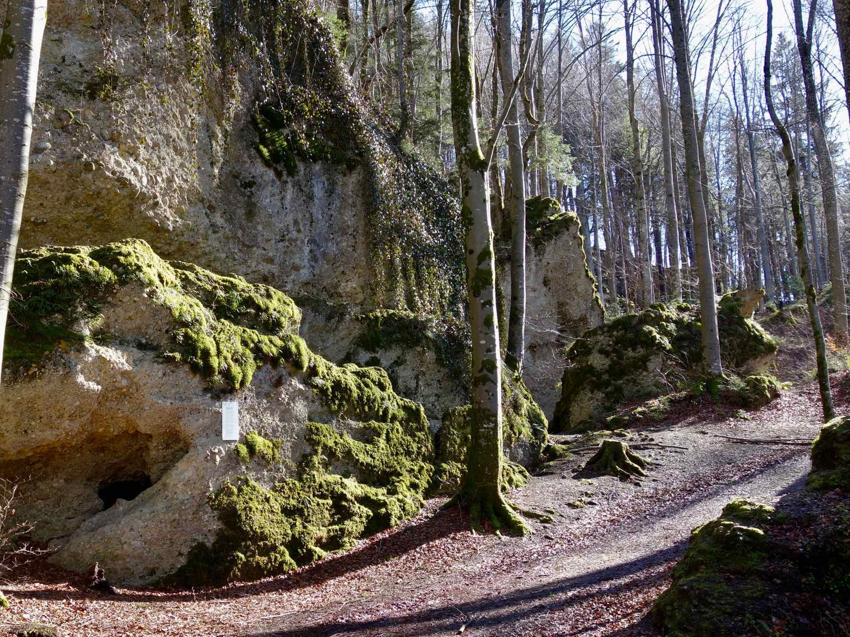 Teufelsküche Ronsberg & geologische Orgeln - Tipps