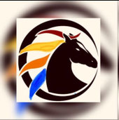 Start - jump-riders-schweizs Webseite!