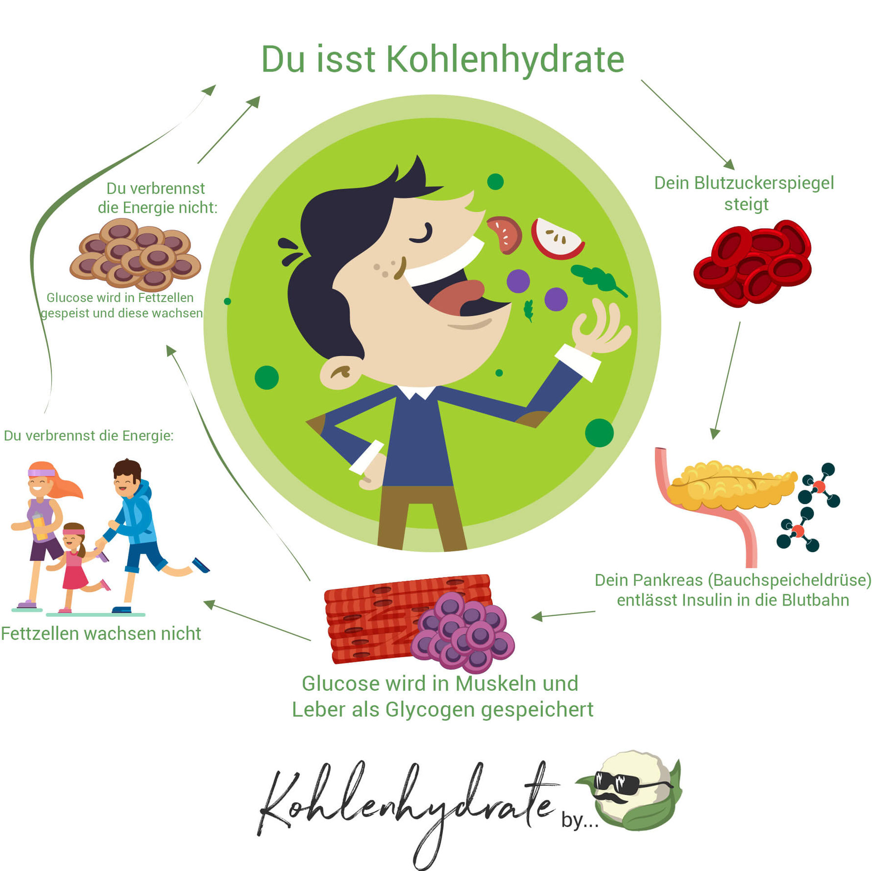 Wissenswertes: Kohlenhydrate - Blumencool - Low Carb Blog