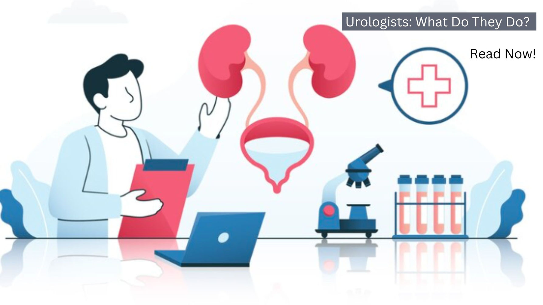 Urologists: What Do They Do? - blogbursts