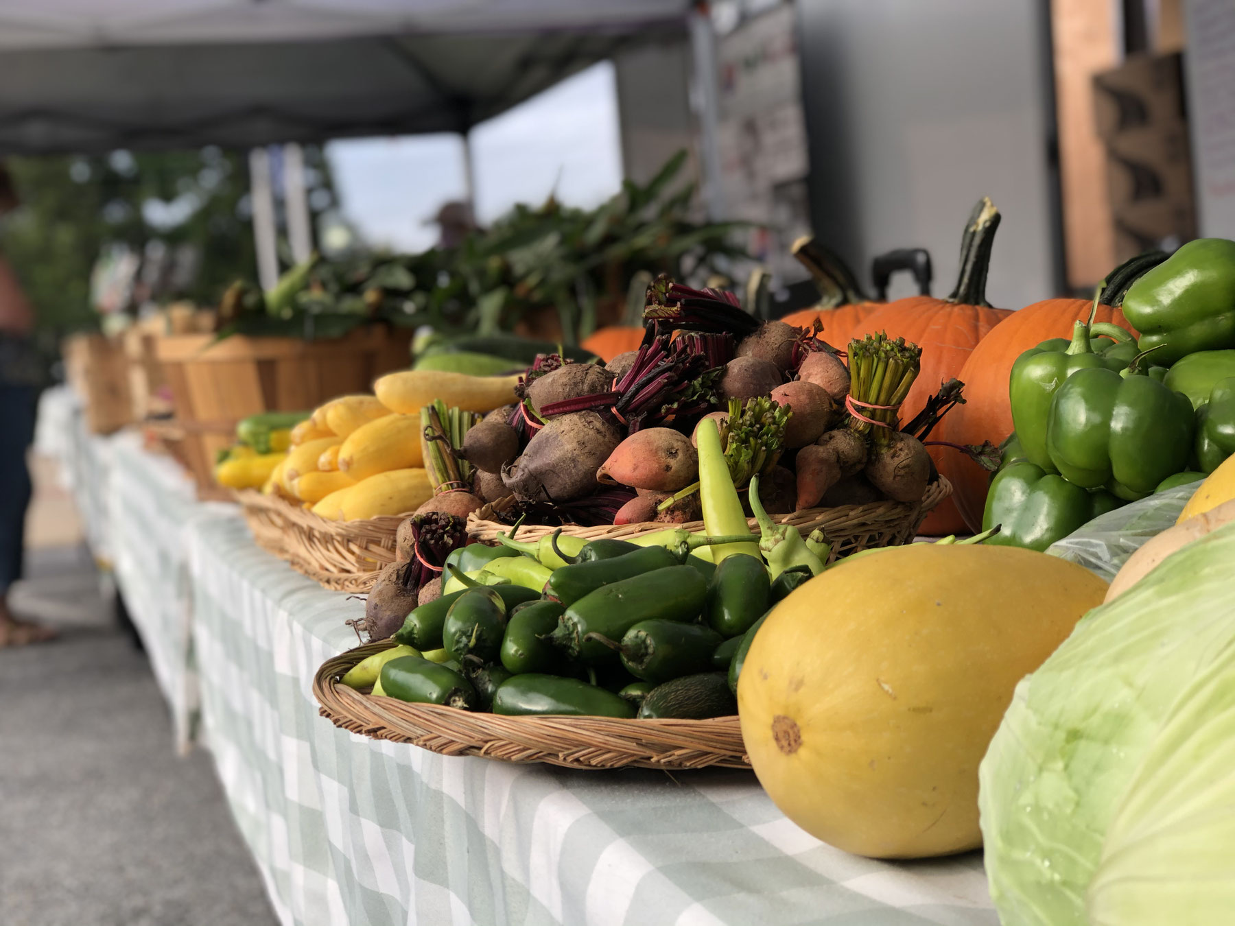 Products Offered - Country Rhodes Farm, Maurertown, VA