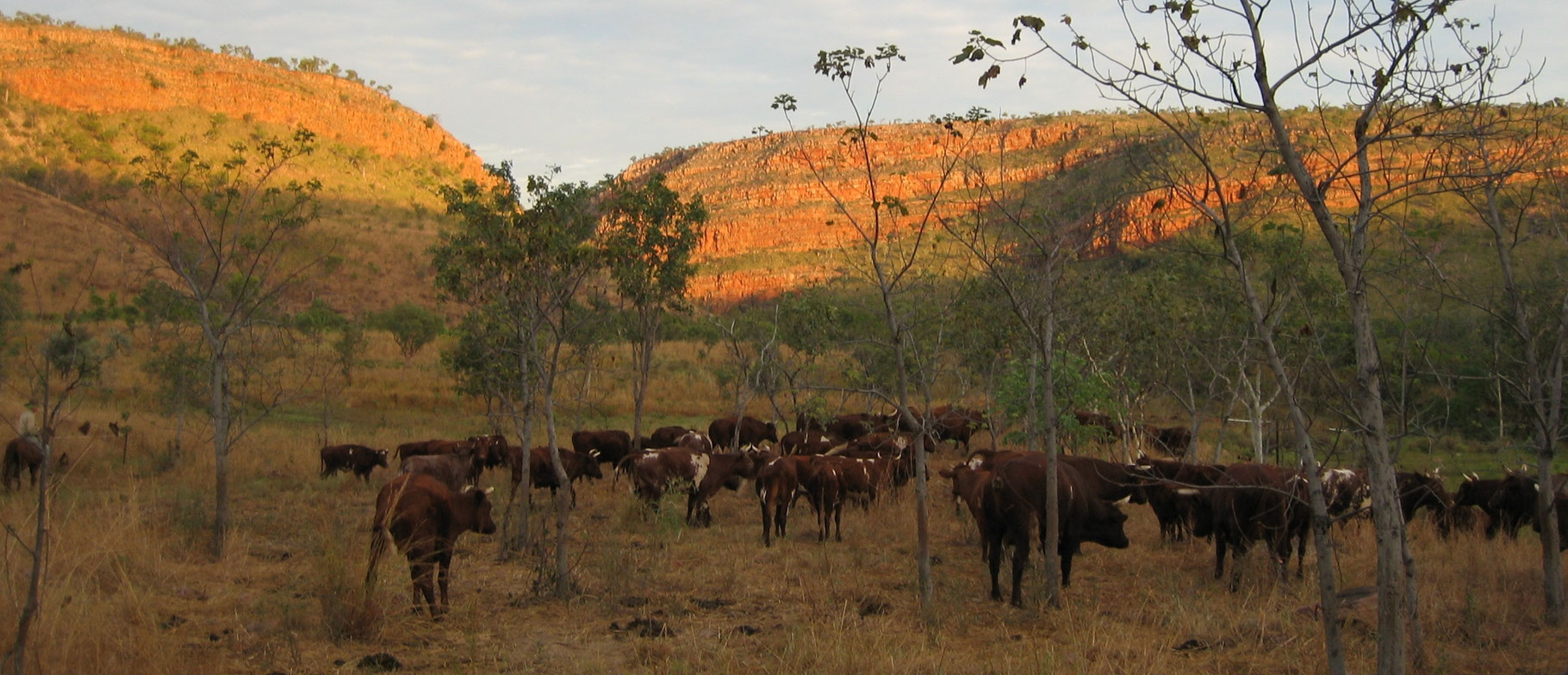 the story of kachana - Kachana Station