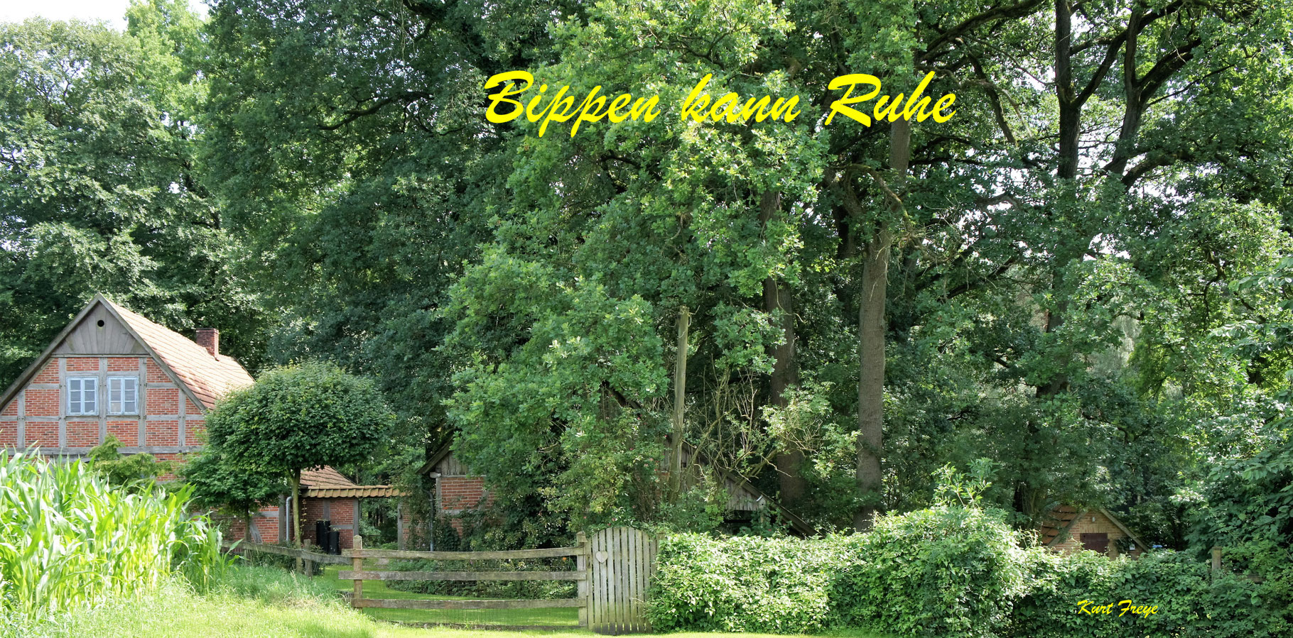 Schützenfest Hartlage - heimatverein-bippen.de