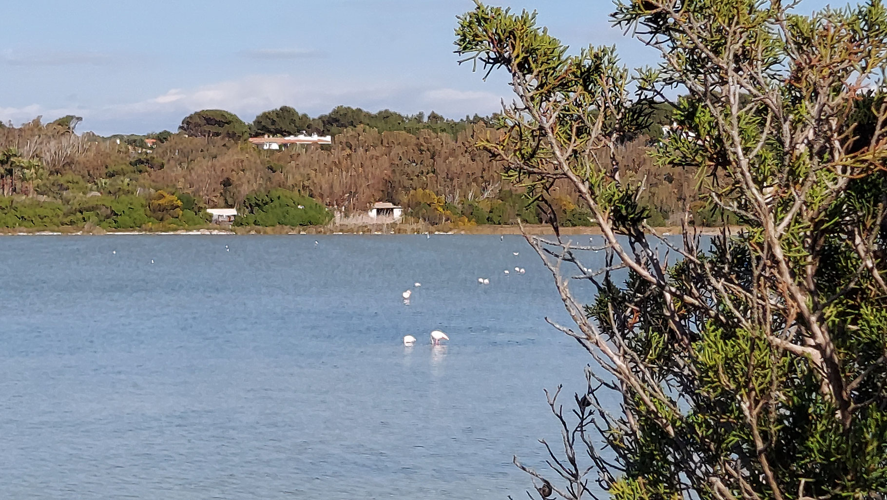 Spiagge, Cale e Calette dell'Isola di Sant'Antioco - Angela Ciani ...