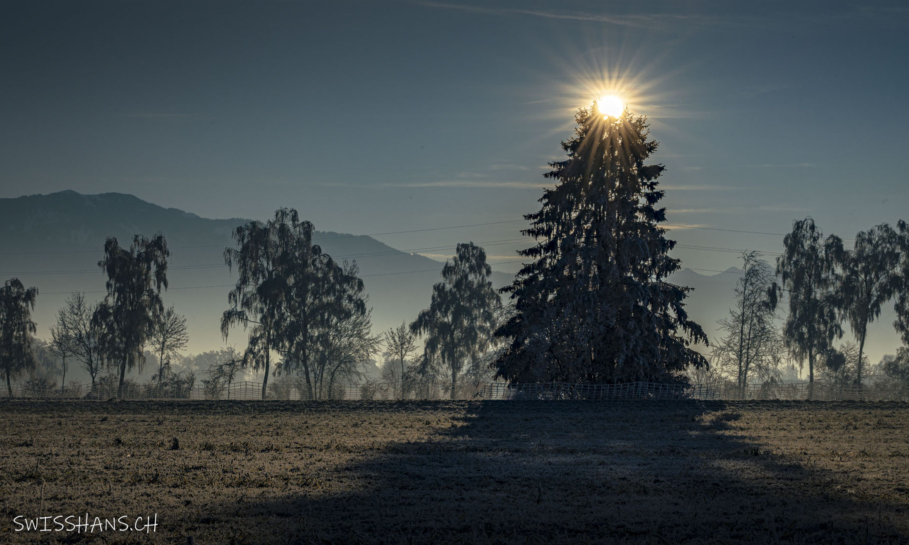Ausflugsziele Rheintal - UNSER RHEINTAL ENTDECKEN