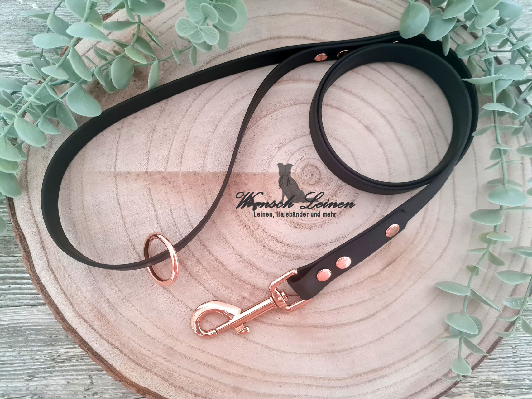 Biothane Leine "Schwarz" - sabrinajerichos Webseite!