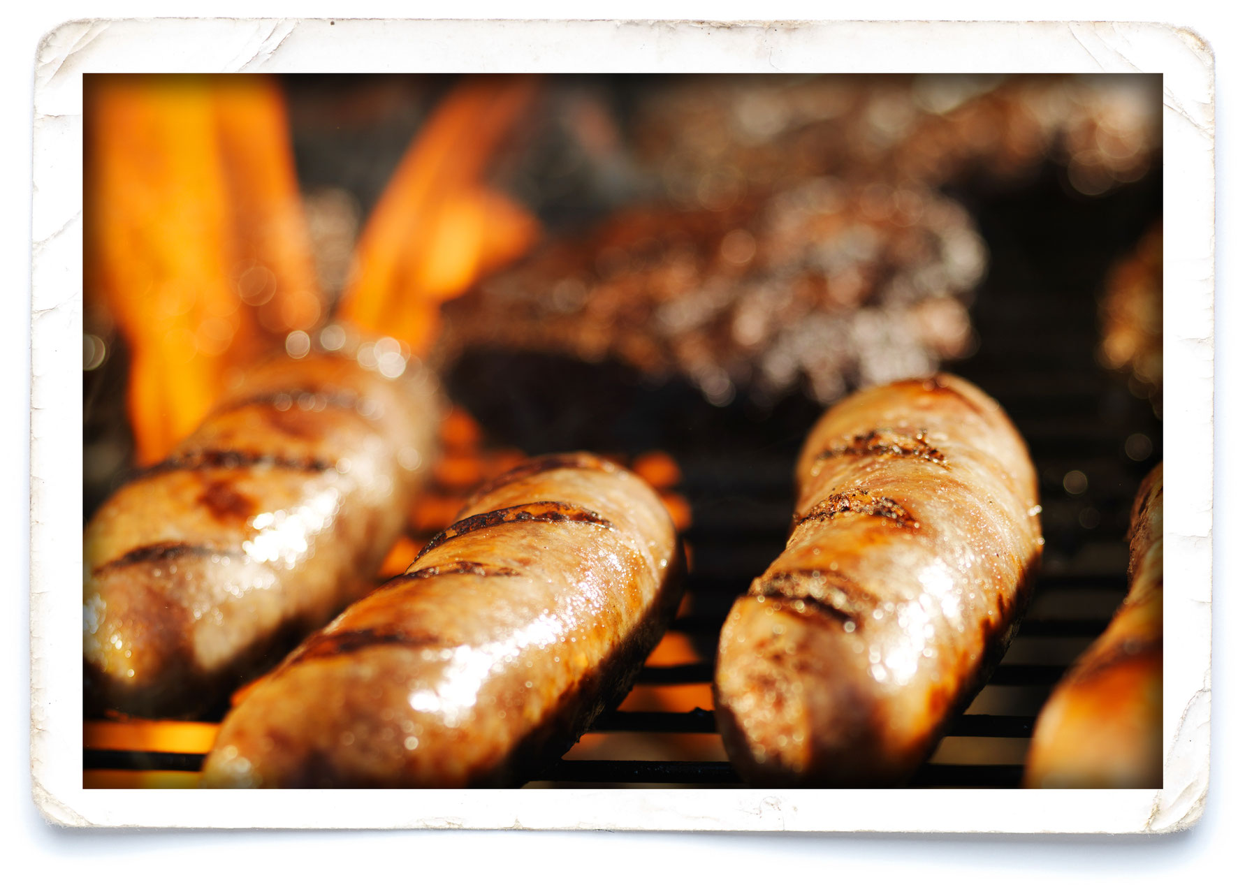 Bestel uw BBQ snel en eenvoudig online! - De website van putmansenco!