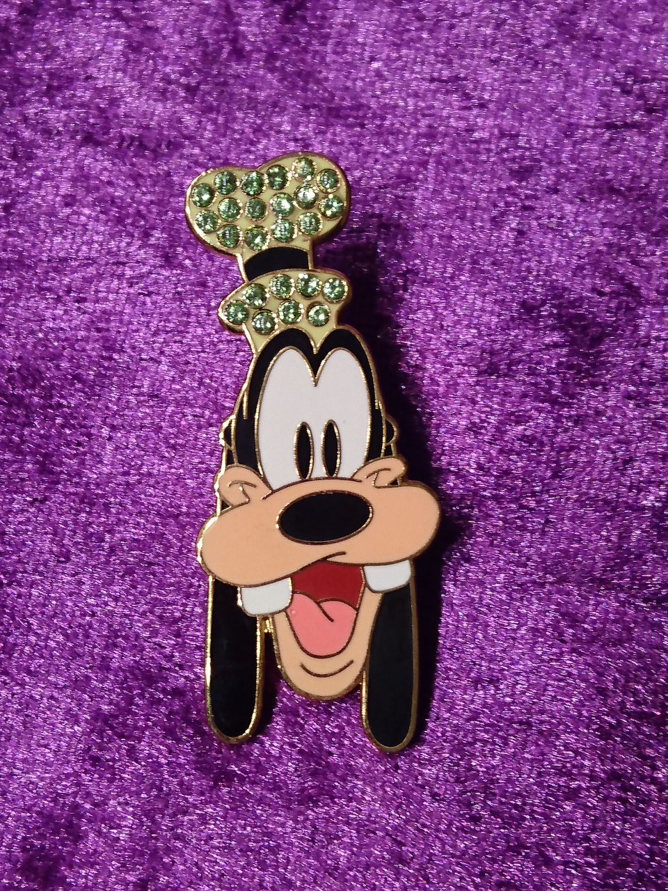 Pluto & Goofy - De website van iriswonderland!