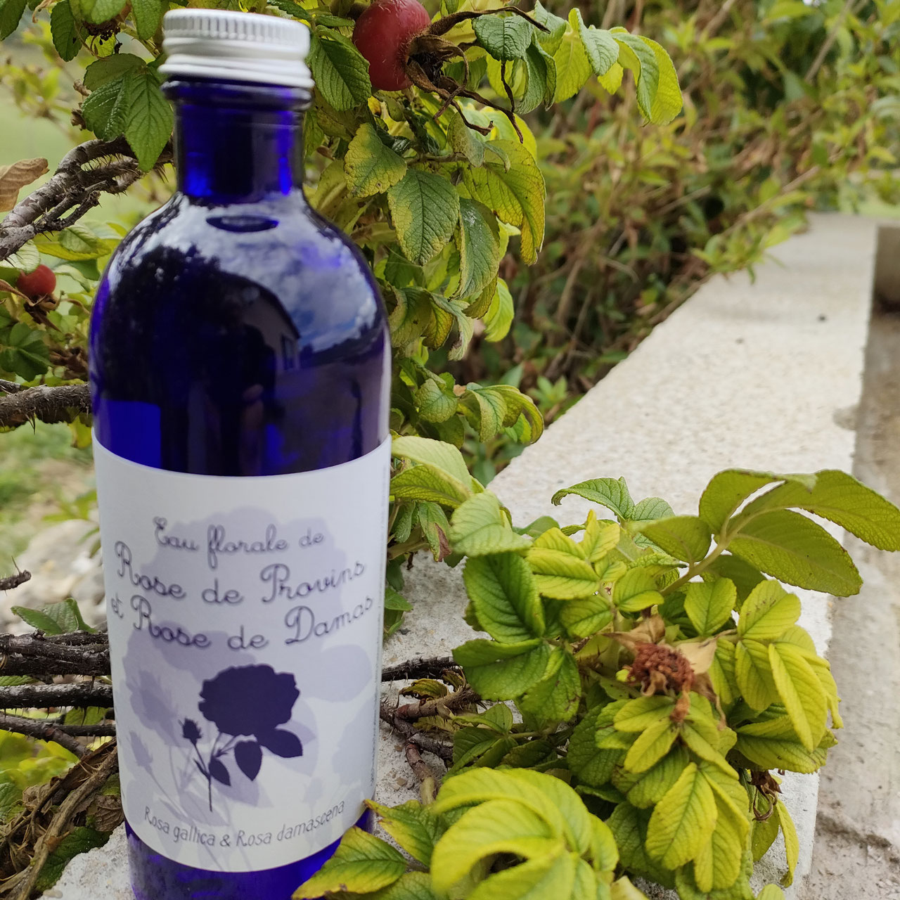 Eaux florales - Hydrolats - - Les Demoiselles du Plateau - Créatrices ...