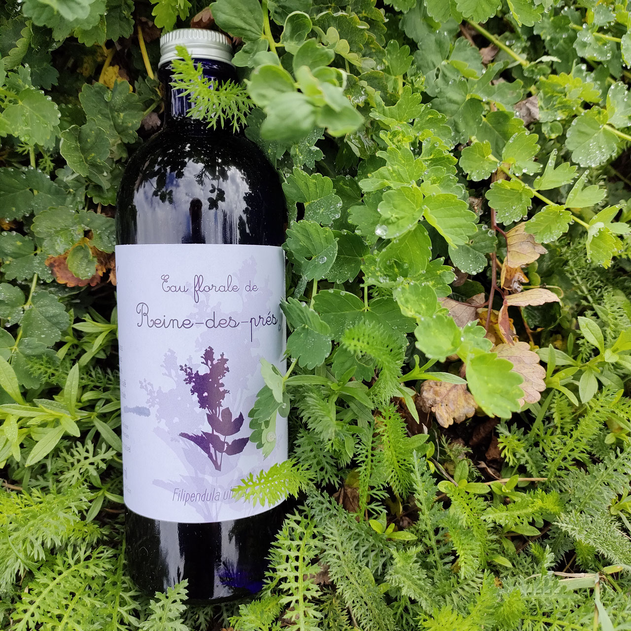 Eaux florales - Hydrolats - - Les Demoiselles du Plateau - Créatrices ...