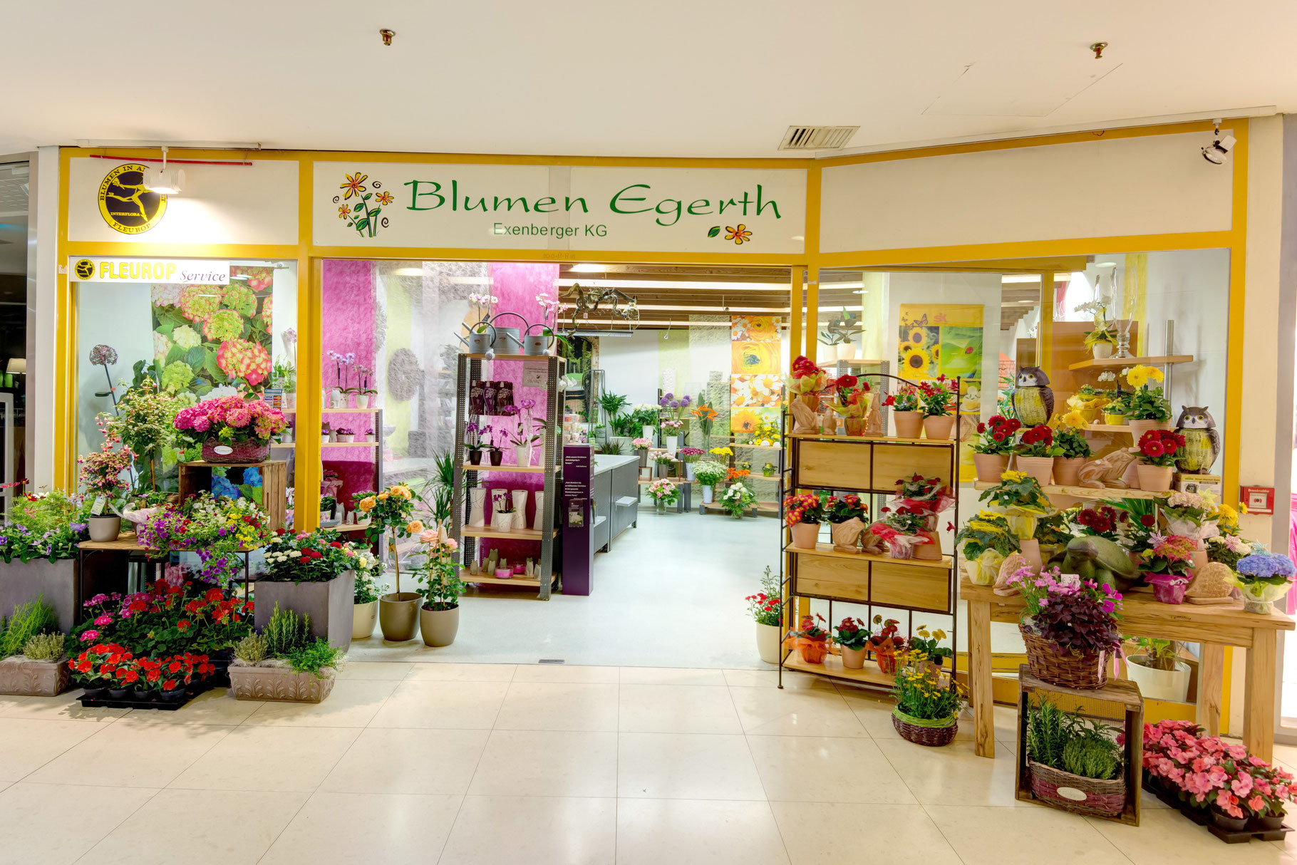 Blumen Egerth OnlineShop - BLUMEN EGERTH KUFSTEIN
