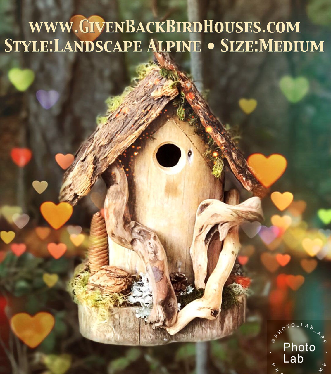 The Landscape Alpine - Given Back Bird Houses