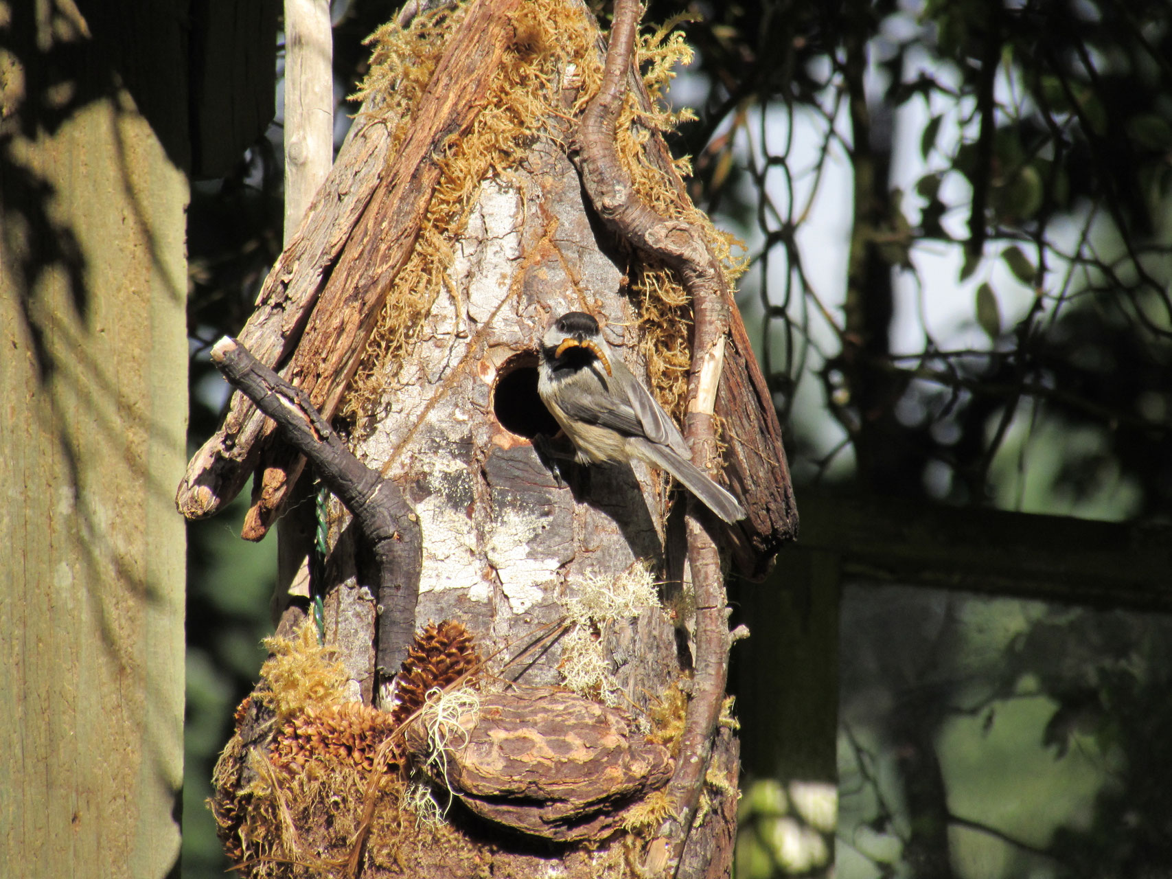 The Alpine Bird House - Given Back Bird Houses