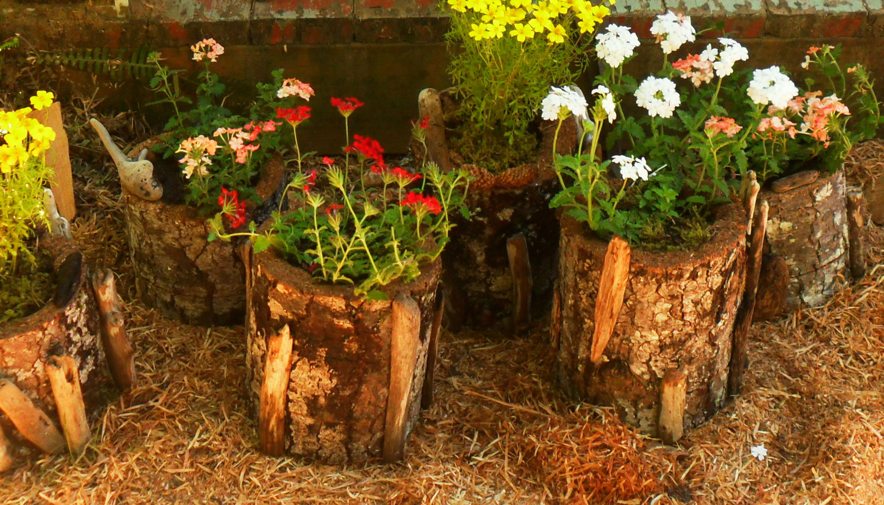 The Nurse Log - Given Back Bird Houses