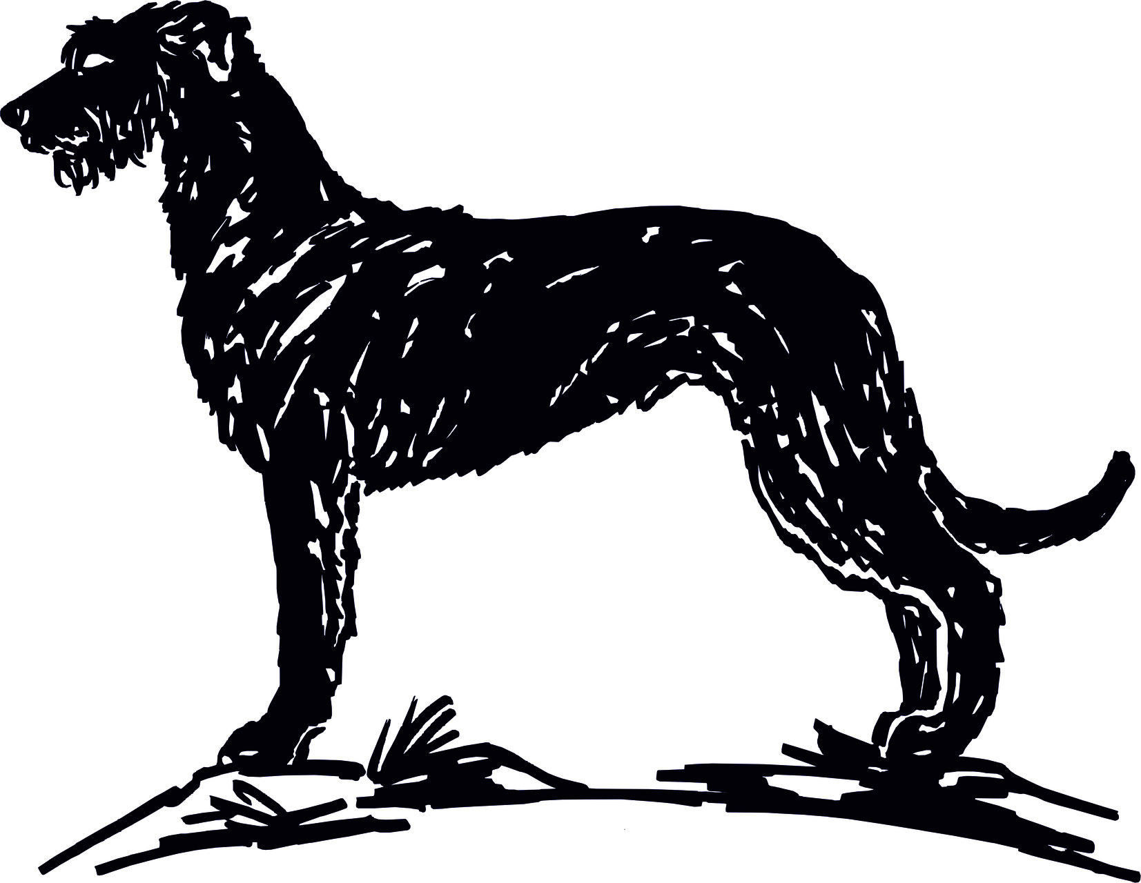 Irish Wolfhound - Designer Decals - The Sighthound Gallery