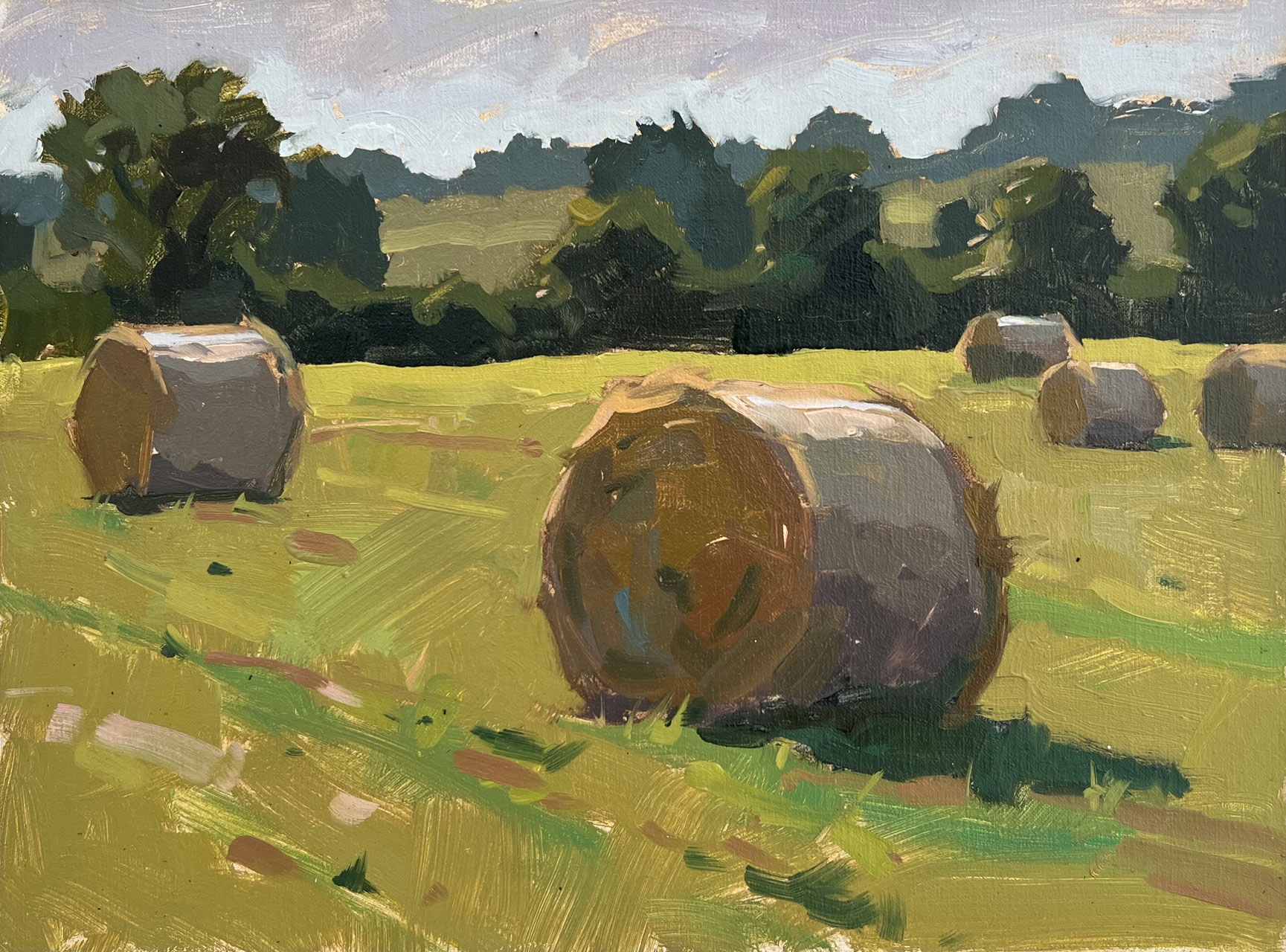 Hay bales in the paddock - Haidee-Jo Summers artist