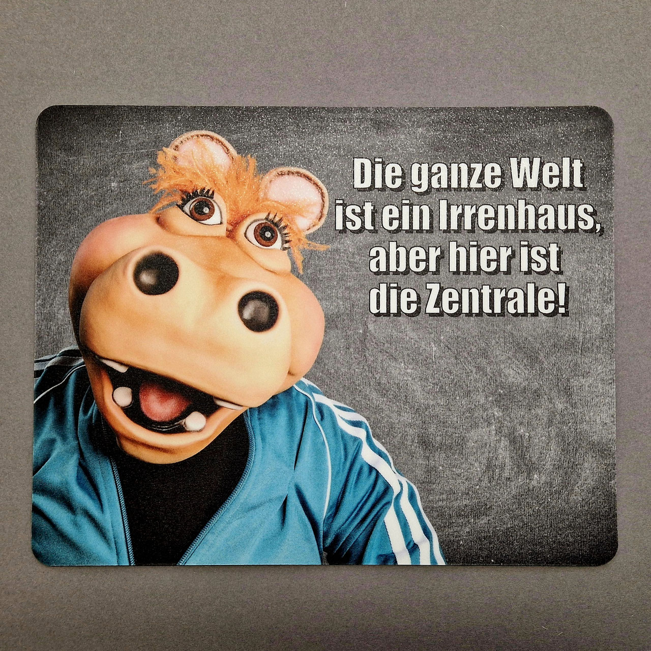 100% Amanda - Sebastian Reich & Amanda Fan-Shop