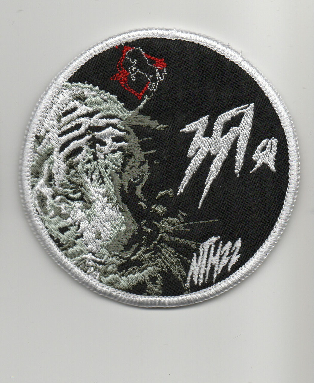 Italian Air Force patch 351° Squadrigliao / 12° Gruppo NATO Tiger Meet ...