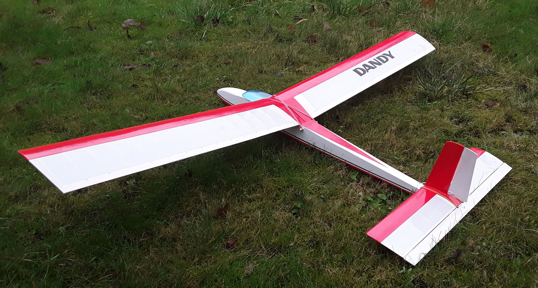 Shop Robbe Rasant - aumann-rc