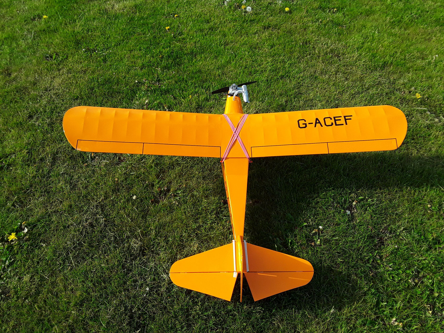 Shop Robbe Rasant - aumann-rc